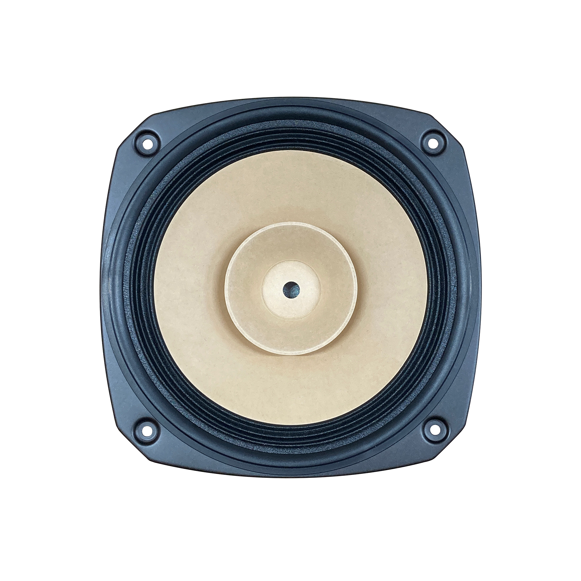 Fostex FE203Σ-RE - 8″ Full-range 8Ω